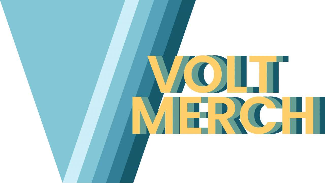 Volt Merchandising - batteryincluded.ai - Let's play this differently. AI Data Discovery Framework